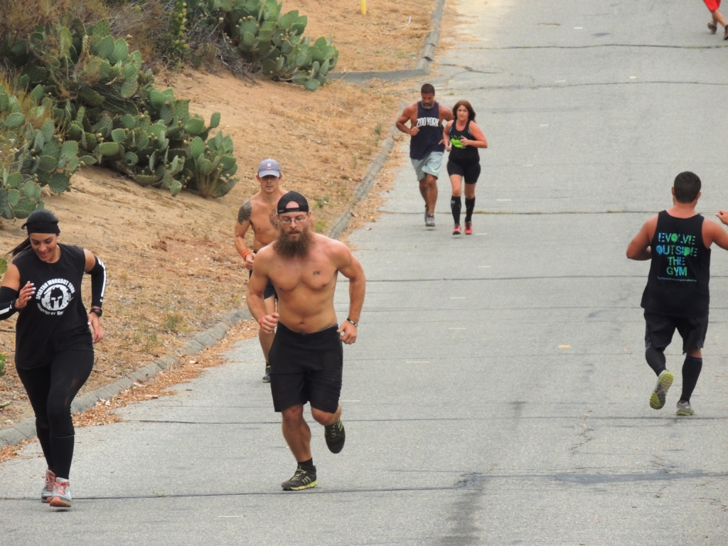 OCR Gym Profiles: Platinum OCR | Mud Run, OCR, Obstacle Course Race ...