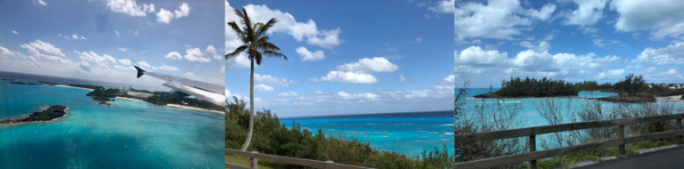 Bermuda Triple Challenge - A Racecation in Paradise | Mud Run, OCR ...